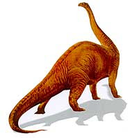 100omar: apatosaurio